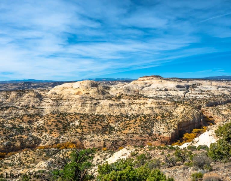 Big Southwestern Road Trip - Rocky Mountain Cooking